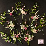 Edible Sugar Australian Native Flowers